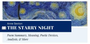 Analysis of The Starry Night by Anne Sexton - Poemotopia