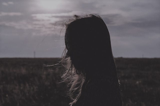 Analysis of I'm "wife" — I've finished that — by Emily Dickinson