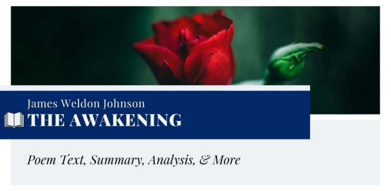 Analysis of The Awakening by James Weldon Johnson - Poemotopia