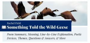Analysis of Something Told the Wild Geese by Rachel Field - Poemotopia