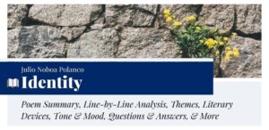 Analysis of Identity by Julio Noboa Polanco - Poemotopia